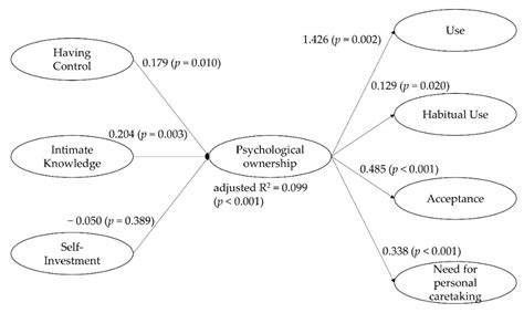 Contextualized Measurement Scale Adaptation A 4 Step Tutorial For