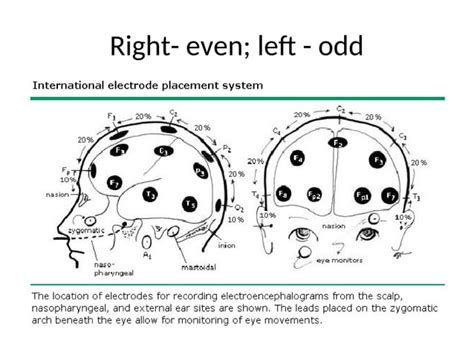Eeg Interpretation For Healthcare Workersppt