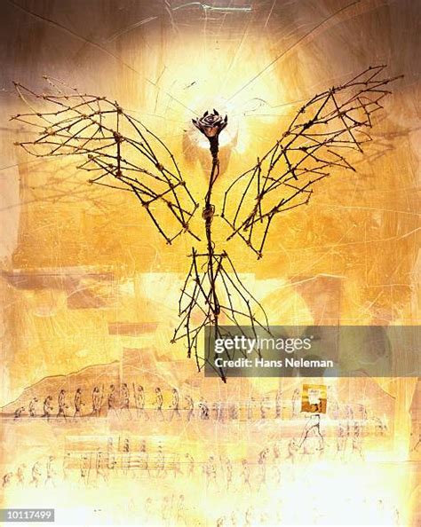 Human Evolution Drawing Photos And Premium High Res Pictures Getty Images