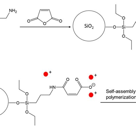 Synthesis Route Ii Inorganic Silica Shell Download Scientific Diagram