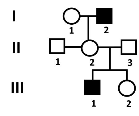 Determine Which Mode S Of Inheritance Are Possible For The Pedigree