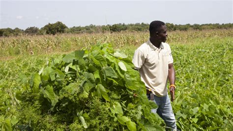 Success Stories In Food System Transformation Idh The Sustainable
