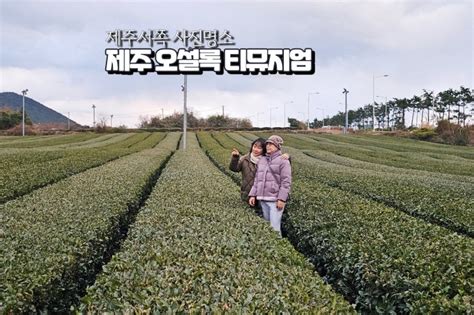 제주 오설록 티뮤지엄 메뉴 제주도 녹차밭 사진명소 네이버 블로그