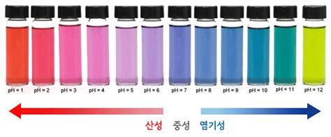 여러 가지 지시약