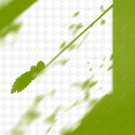 Pinecone Cluster Shadows Spiky Overlapping Shadows With A Detail Png Shadow Cast Illustrationse