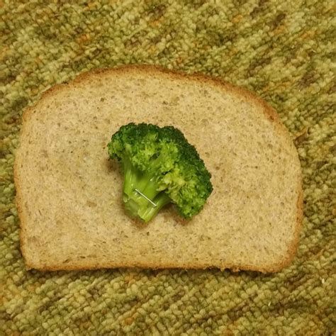 Redditors Are Stapling Bread To Trees In Sheffield England Gastro Obscura