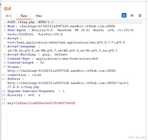 Ctf Hub Ssrf通关攻略ctf Hub Csdn博客