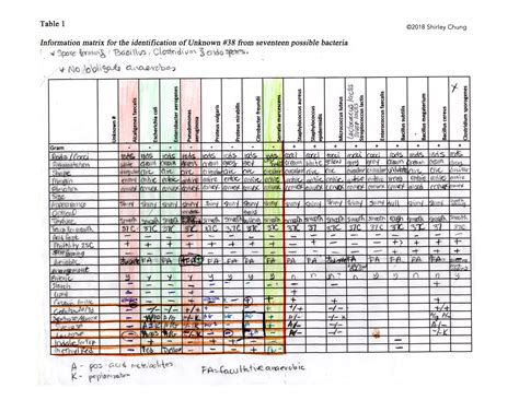 Microbiology Unknown Project Tips Basic Sciences