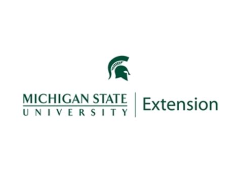 MSU Extension General Purpose Note Cards Envelopes E3400 MSU Extension
