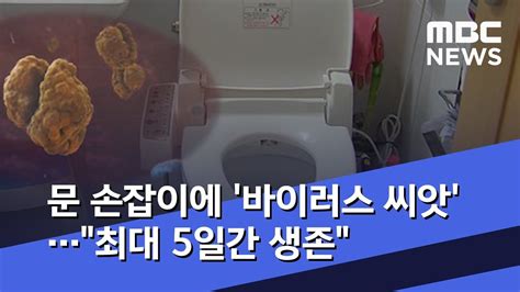 문 손잡이에 바이러스 씨앗최대 5일간 생존 20200204뉴스데스크mbc Youtube