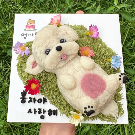 멍까루 •군포애견수제간식•군포애견케이크•애견수제간식클래스•애견케이크클래스•강아지수제간식•강아지케이크 강아지케이크 강아지생일케이크 넘나 귀여운 딱지네 케이쿠🫶 보호자