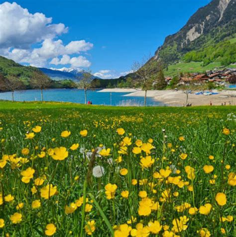 Актуална прогноза за времето в България за събота 13 04 2024 и неделя 14 04 2024 Дъжд и