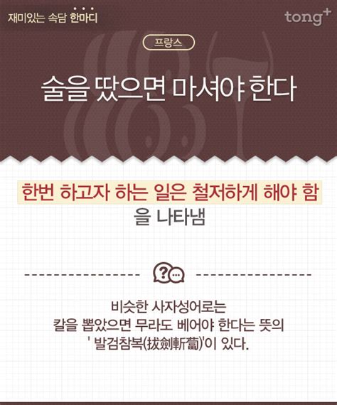재미있는 속담 한마디 도깨비 땅 마련하듯 디지틀조선일보디조닷컴