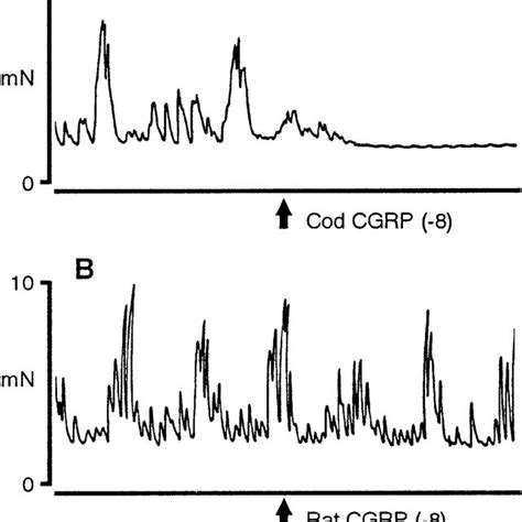 Comparison Of Primary Structure Of Cgrp From Different Vertebrates Download Scientific