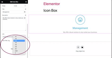 Icon Box Widget Elementor