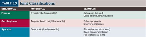 Intervertebral Joint Structural Classification