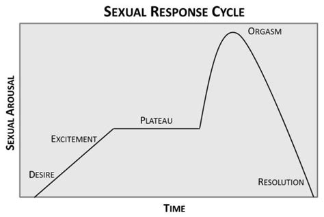 A Biopsychosocial Approach To Womens Sexual Function And Dysfunction At Midlife A Narrative