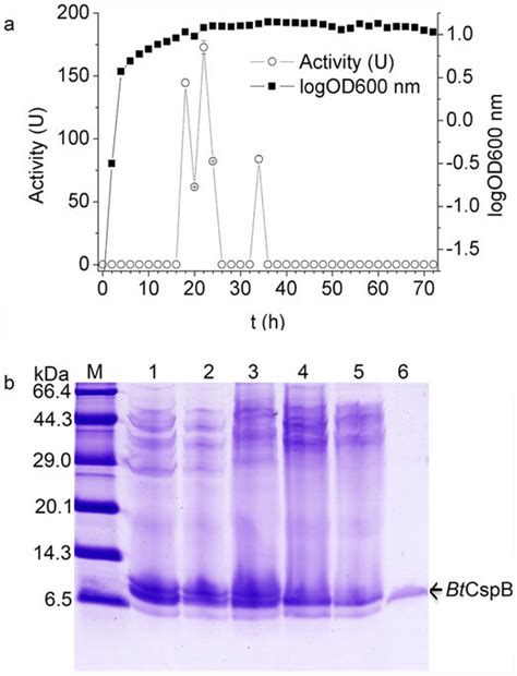 Kinetics Of Bacteriocin Production By Bt Brc Zyr2 A The Correlation Download Scientific
