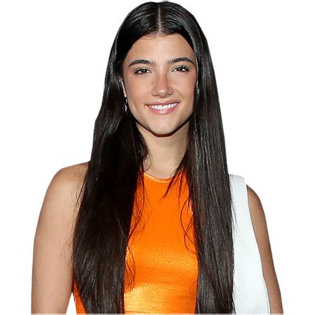 Charli Damelio Smile Big Head Celebrity Cutouts
