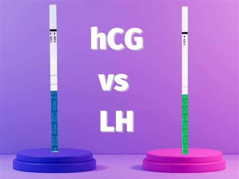 Decoding Ovulation Tests What Does A Faint Line Mean Mommy Maker Teacher