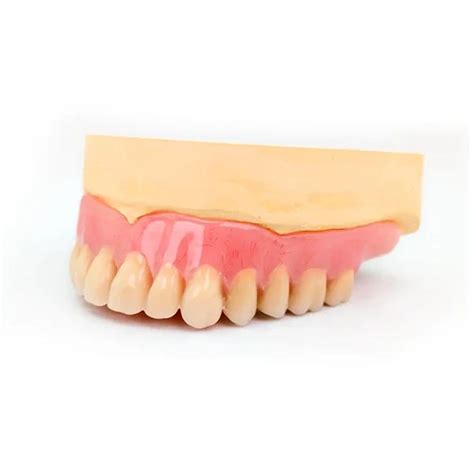 Demo Model Upper And Lower Dentures Costech Dental Lab