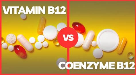 Vitamin B12 Vs Coenzyme B12 Structure Applications And Benefits