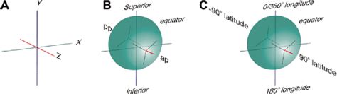 In Situ Position Of Crystalline Lenses On A Cartesian Coordinate Download Scientific Diagram
