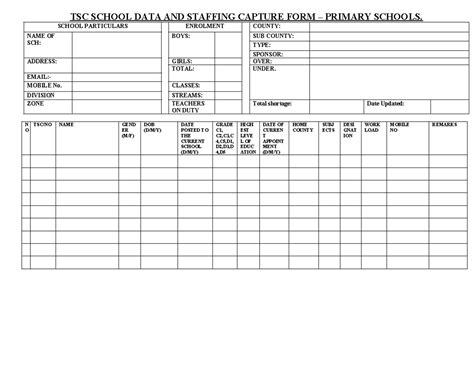Data Capture Form Primary May 2024 Tsc School Data And Staffing