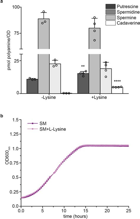 Effect Of Lysine Supplementation On The Intracellular Concentration Of Download Scientific