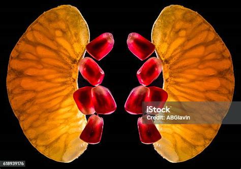 검은 색 배경에 오렌지 만다린 슬라이스와 석류 붉은 곡물 감귤에 대한 스톡 사진 및 기타 이미지 감귤 감귤류 과일 건강한 생활방식 Istock