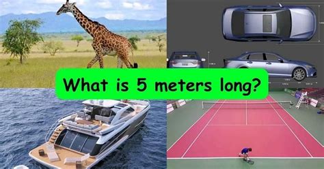 11 Common Things That Are 20 Meters Longbig