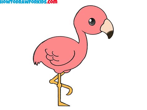 Flamingo Bird Drawing