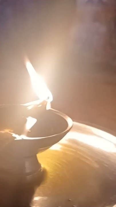 Jay Narsingh Devta Trending Vlog Youtube