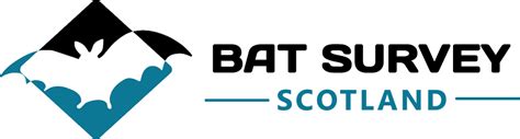 What Is A Bat Survey — Bat Survey Scotland