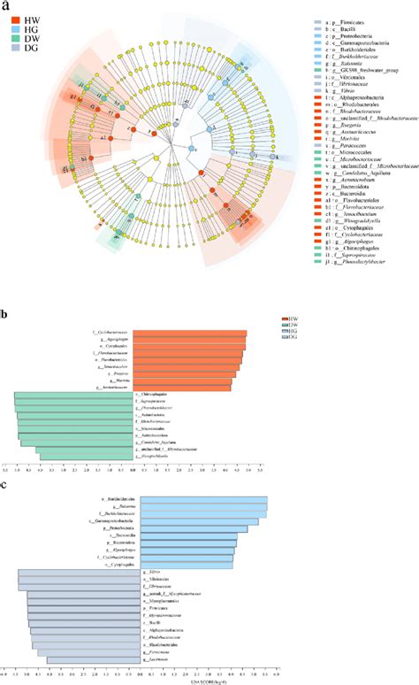 Analysis Of The Differences Of Dominant Taxa A Lefse Multilevel Download Scientific Diagram