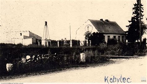 Kobylec Zdjęcia