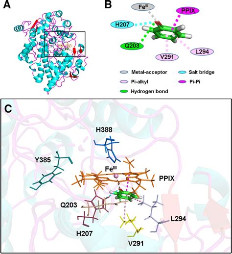 Molecular Docking Analysis Of The Binding Interactions Between Phenol