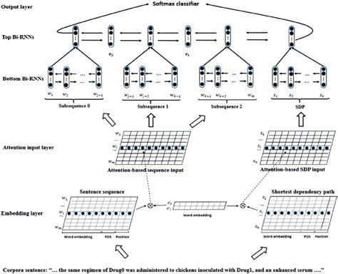 the overview of our hierarchical rnns model on sequence and sdp