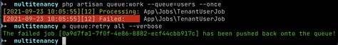 Queue Retry Fails For Tenant Aware Jobs Issue 259 Spatie Laravel