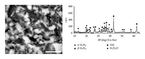 Microstructures By Fesem Of Dense Si3n4 Tin Composites Sintered At Download Scientific Diagram