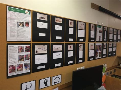 Pin On Teaching Classroom Display Set Up Classroom Displays Photo