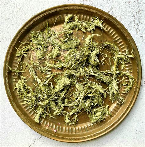Dream Pillow With Mugwort And Herbs For Lucid Dreaming