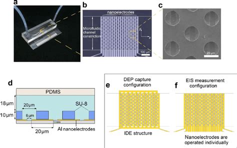 Microfluidic Device Based On A Nanoelectrode Activated Microwell Array Download Scientific