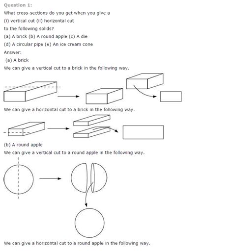Ncert Solutions For Class 7 Maths Chapter 15 Visualising Solid Shapes Ex 153