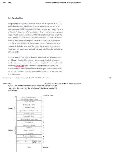 overloading ospf and is is choosing an igp for large scale networks