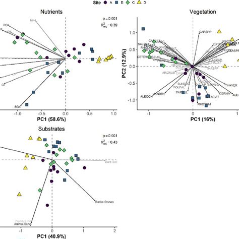Principal Components Analyses Of Soil Nutrient Concentrations And Ph