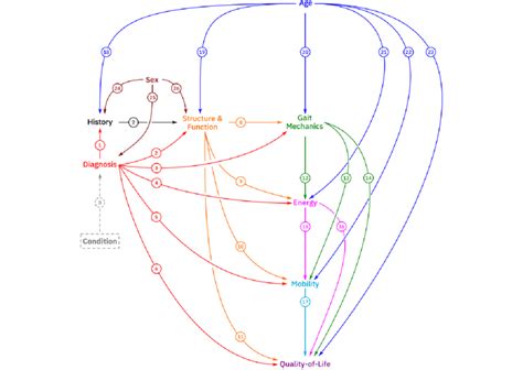 The Model Is Presented Here In Schematic Form The Proposed Model Nodes
