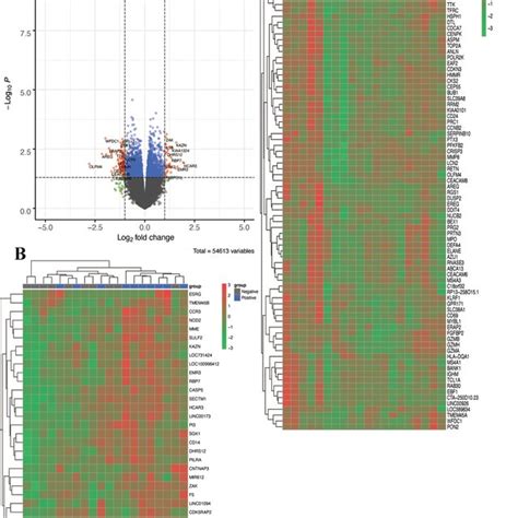 Differentially Expressed Genes A Genes Differentially Expressed Download Scientific Diagram