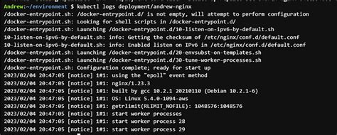 Kubernetes Deploying Nginx Pods
