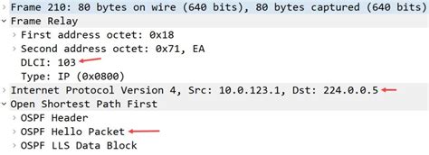 Ospf Broadcast Network Type Explained
